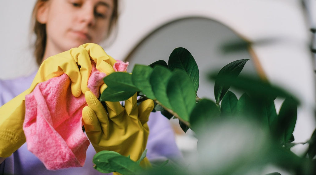 How to Keep Artificial Plants from Fading - Plant Couture Blog ...