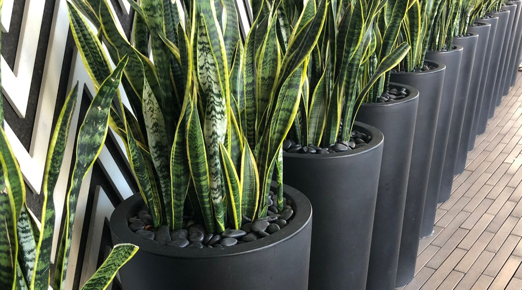 How to Style Your Pots and Planters with Artificial Plants for a Chic ...