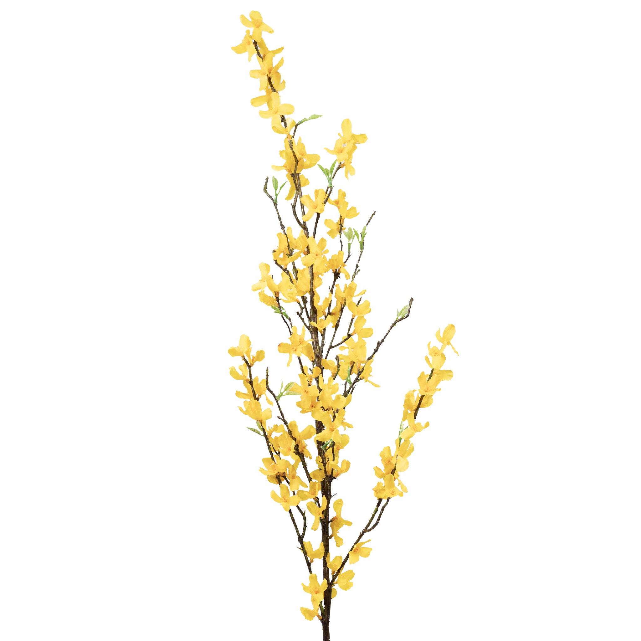 Forsythia Stem 125cm - Artificial Flower - Plant Couture