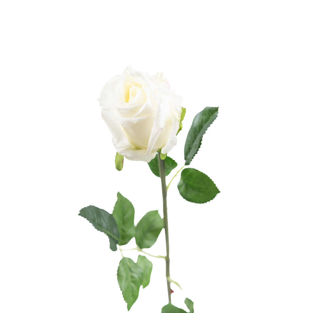 Rose White Semi Open Stem - 65cm Plant Couture – Francisco Plant Couture