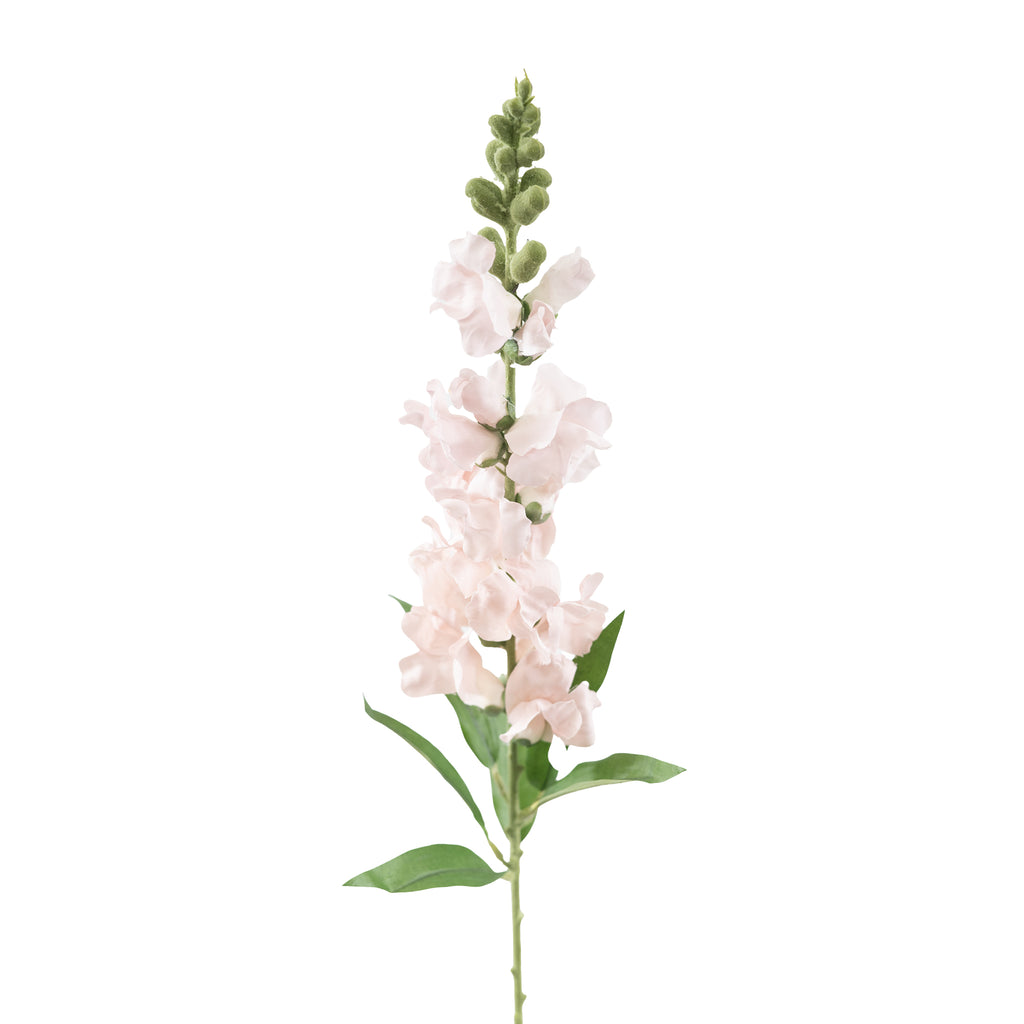 Snapdragon Light Pink Stem - 92cm Plant Couture – Francisco Plant Couture