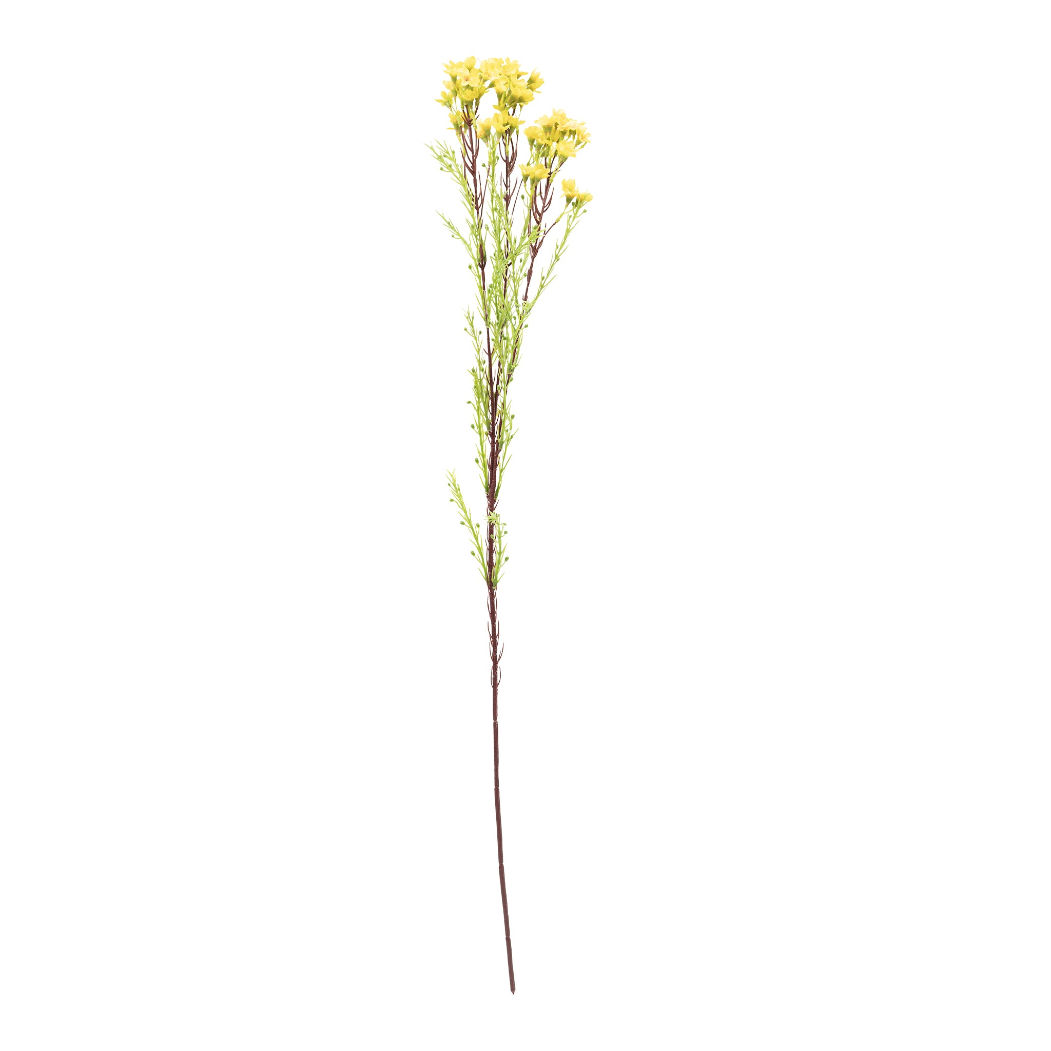 Wax Flower Yellow 80cm - Silk Flowers - Plant Couture