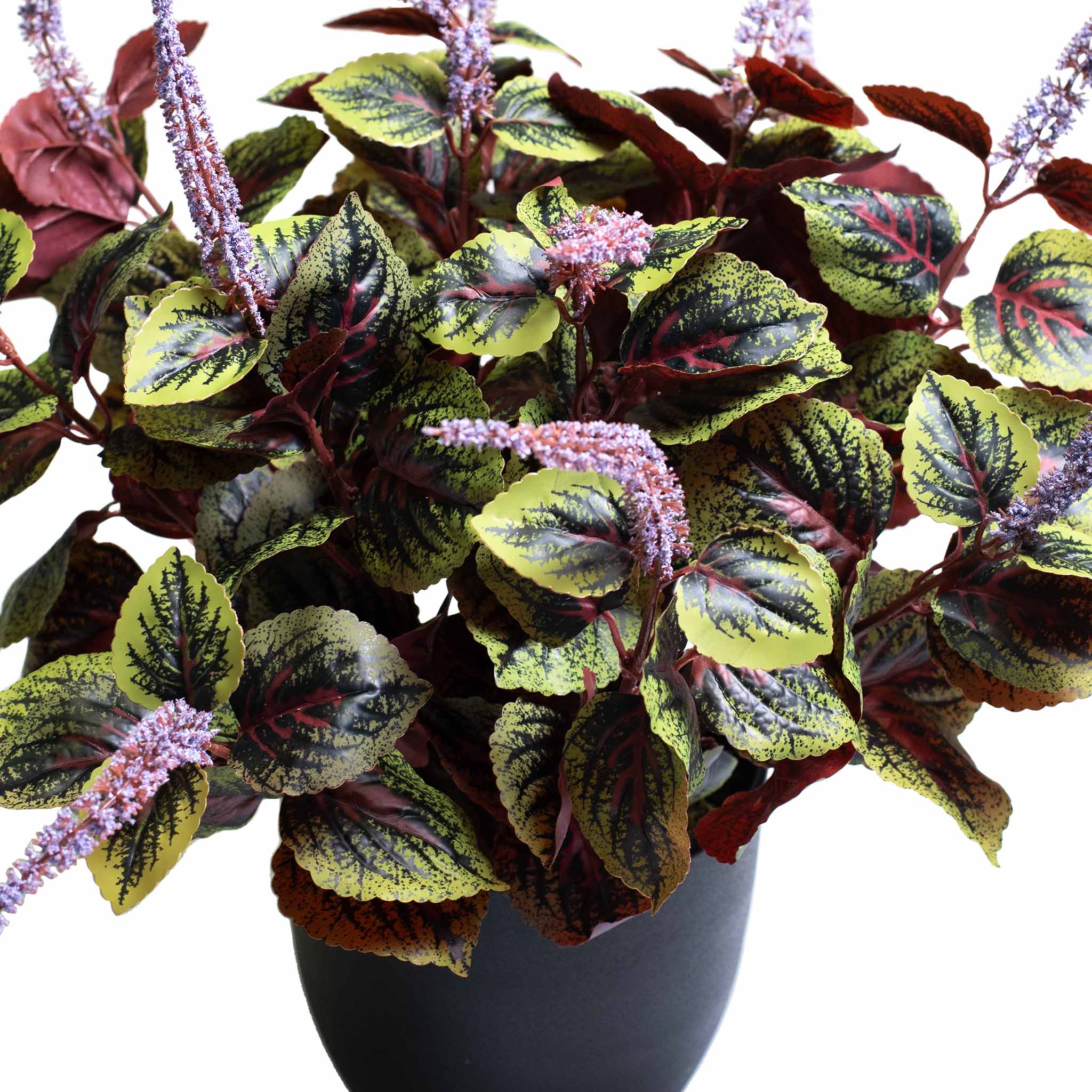 Potted Perilla x3 - 50cm - Plant Couture - Artificial Plants