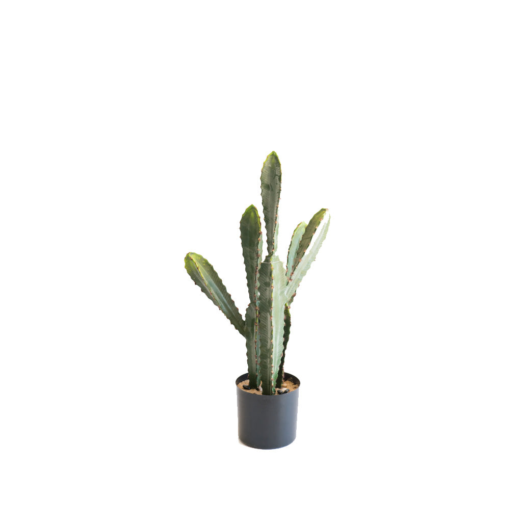 Cactus 59cm - - Artificial Plant - Plant Couture – Francisco Plant Couture