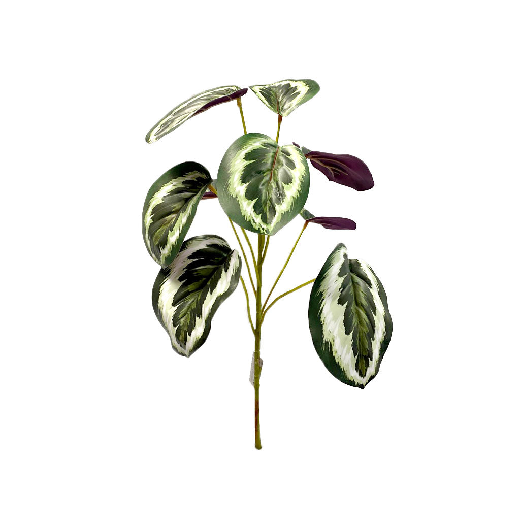 Filler Calathea 45cm - Plant Couture - Artificial Plants – Francisco ...