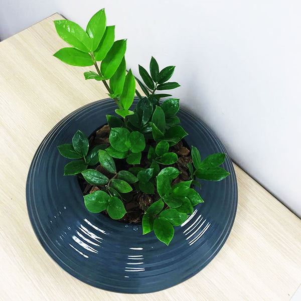 Dia - Plant Couture - Pots & Planters