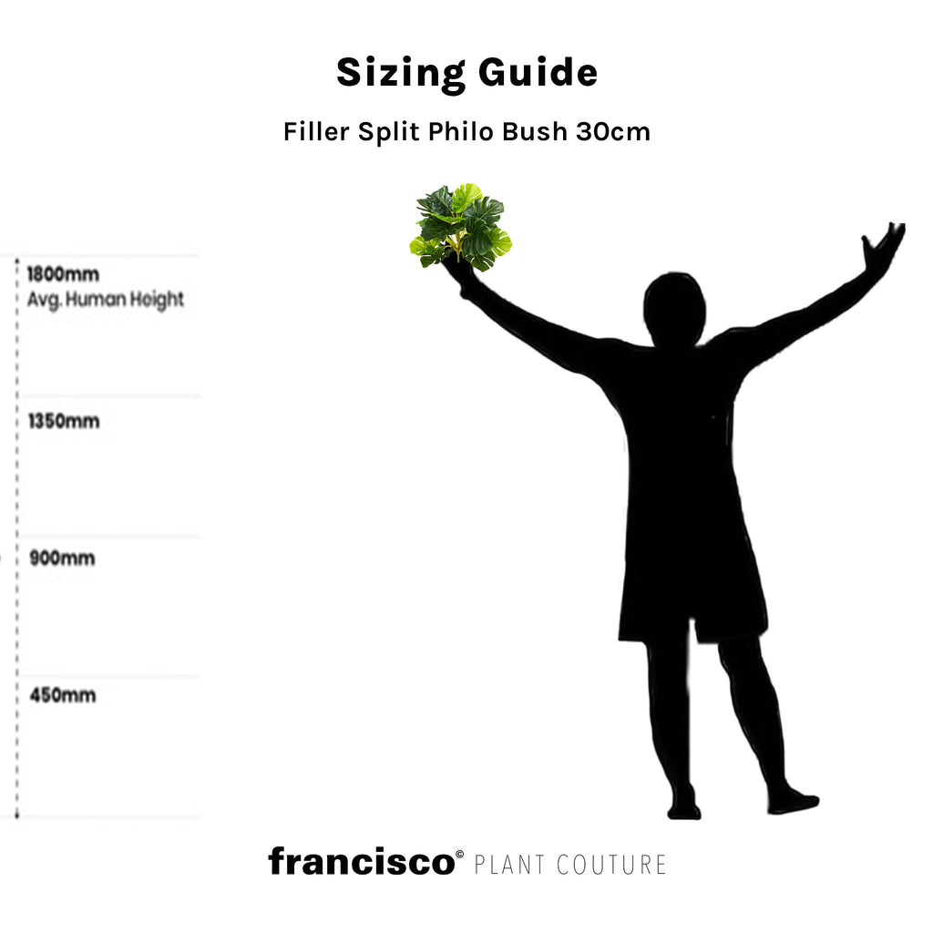 Premium Artificial Plants | Francisco Plant Couture