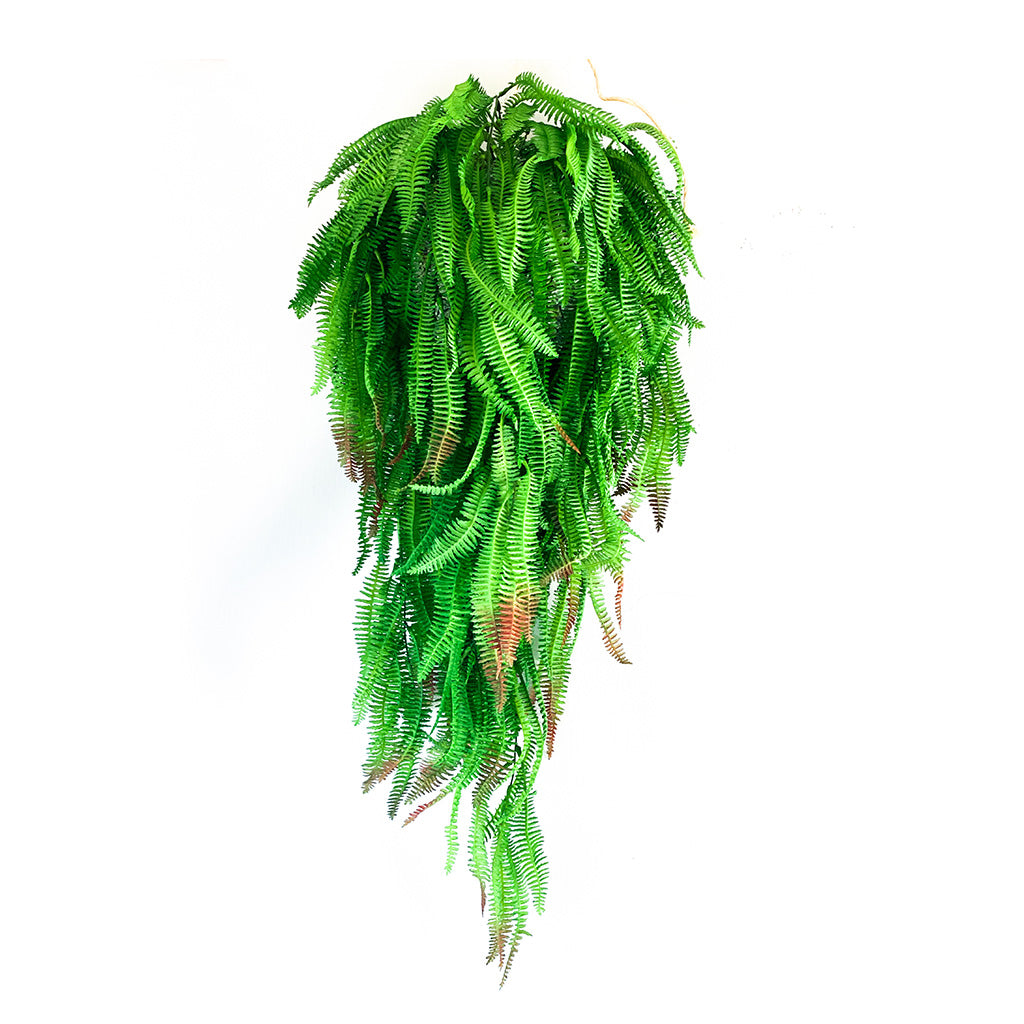 Hanging Fern ball Boston Fern - Plant Couture - Artificial Plants