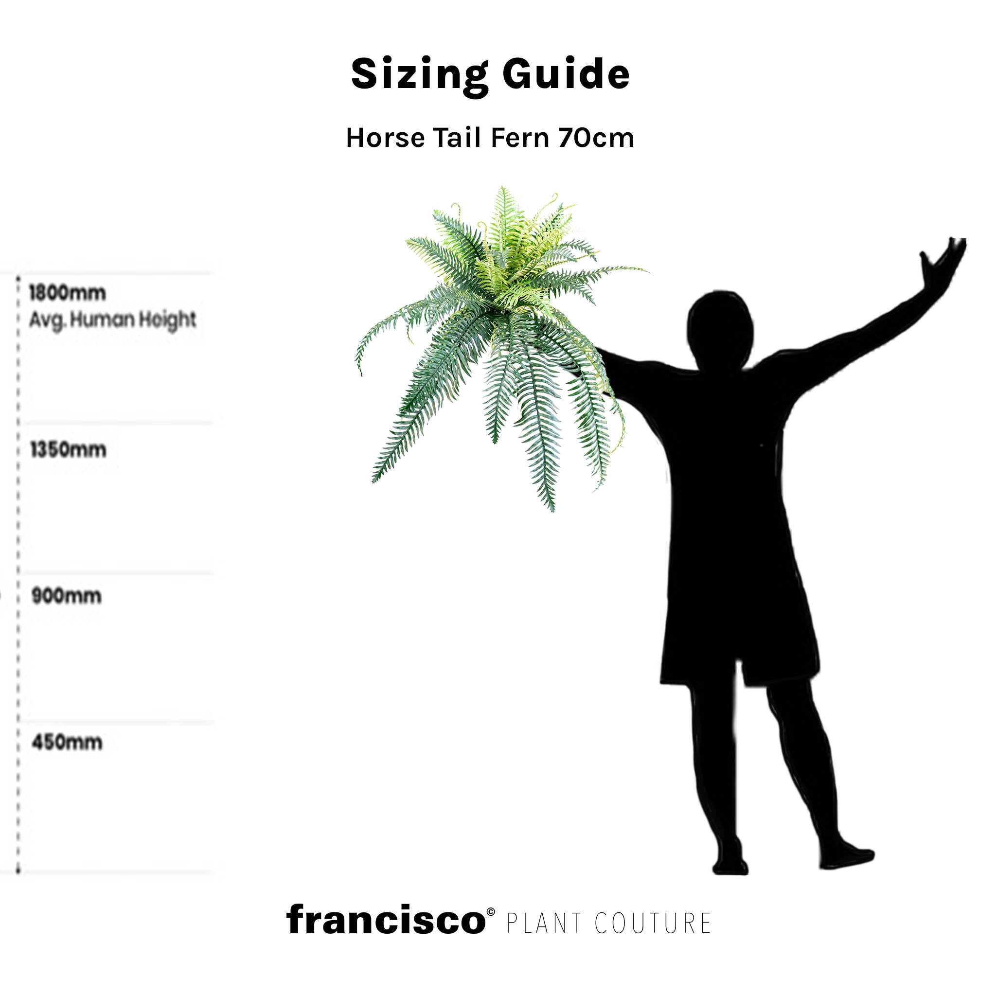 Fern Horse Tail 75cm - Plant Couture - Artificial Plants