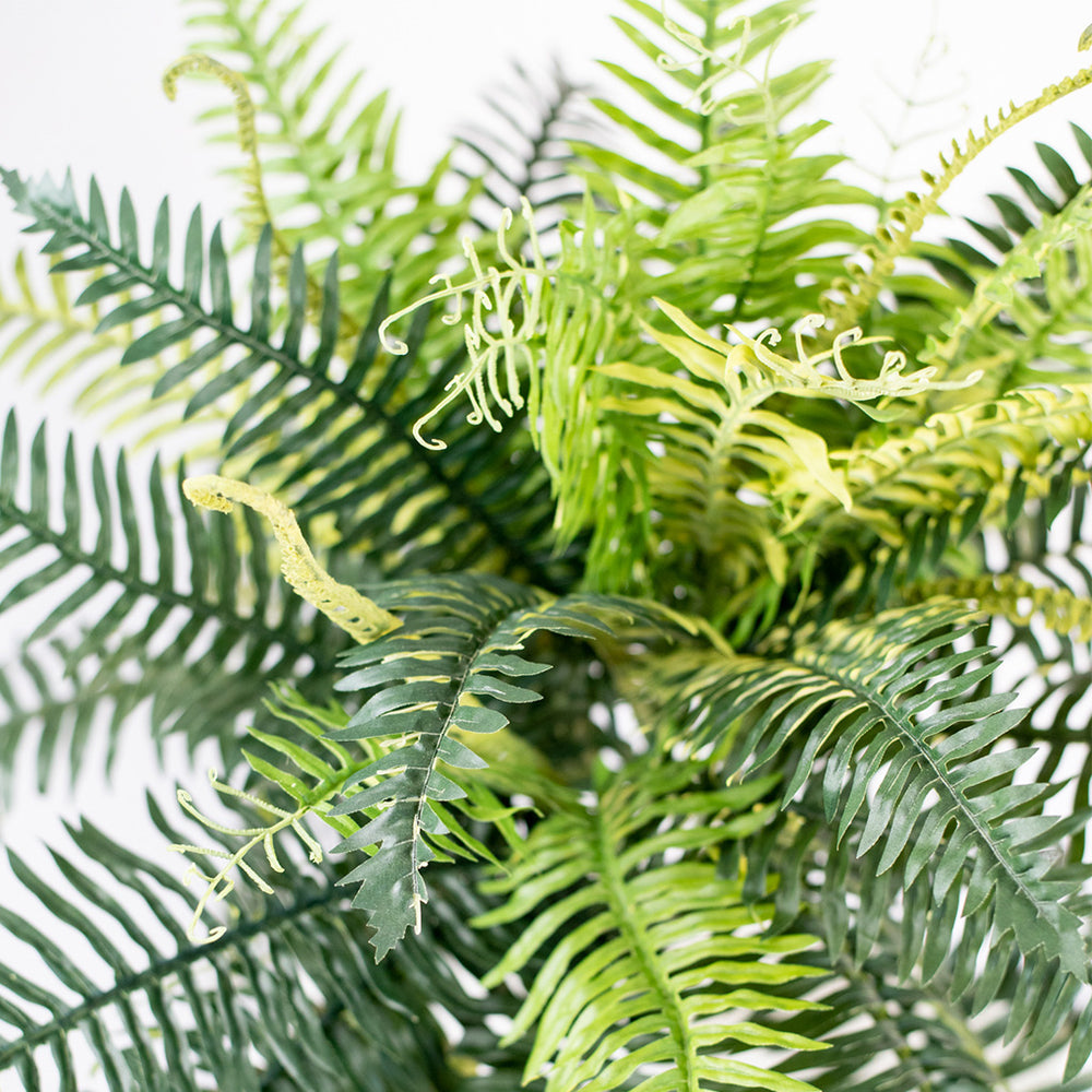 Hanging Fern Horse Tail 75cm - Plant Couture - Artificial Plants ...