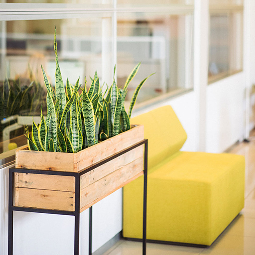 Reclaimed Timber Trough with Steel Stand 130x35x90cm - Plant Couture ...